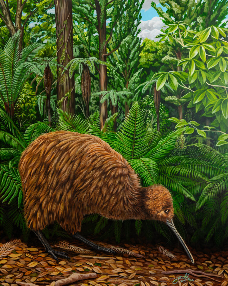 Buy Geoff Noble Kiwi Art Print | Taranaki Kiwi Trust