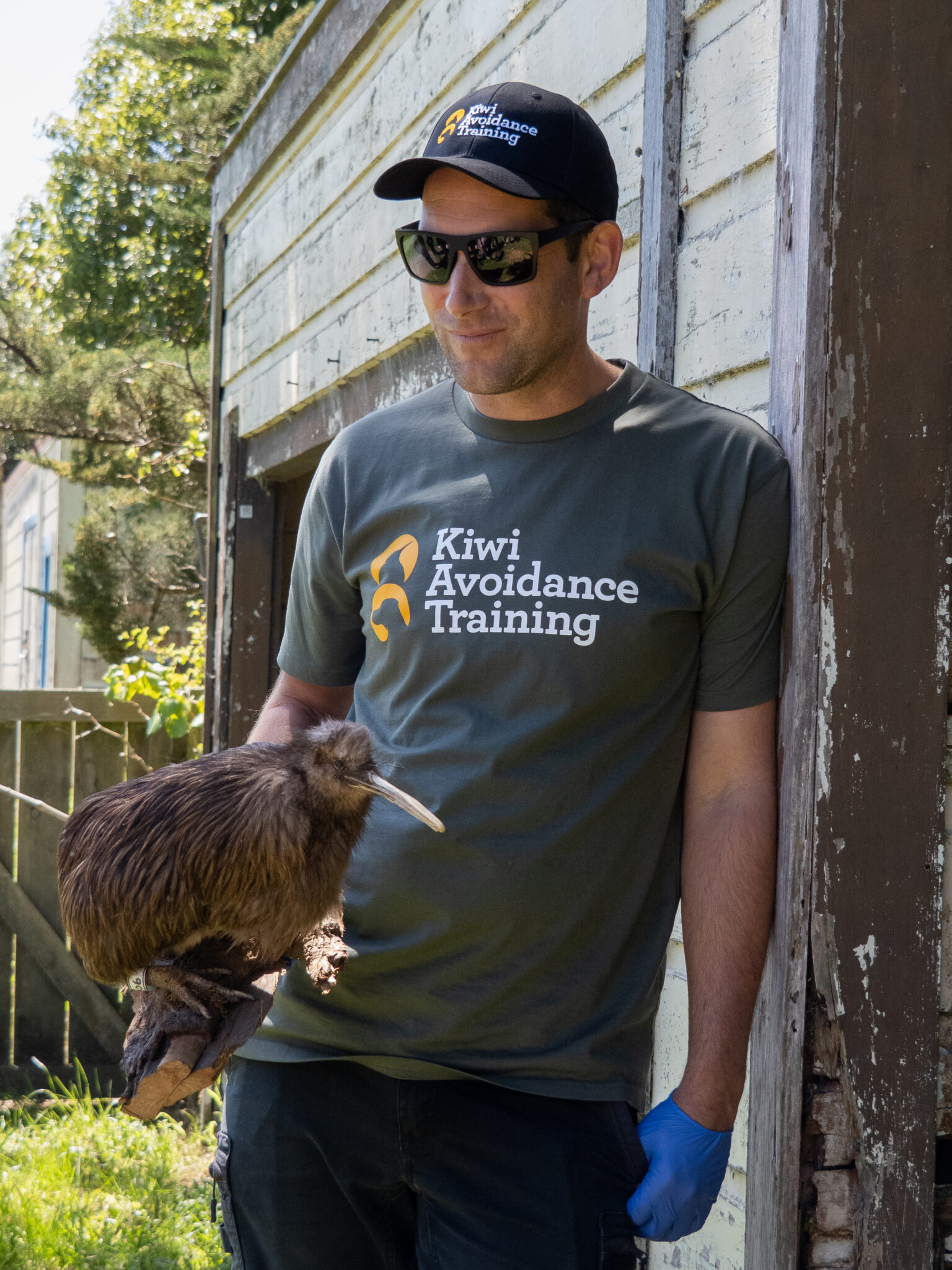 Kiwi Avoidance Training for Dogs - Taranaki Kiwi Trust